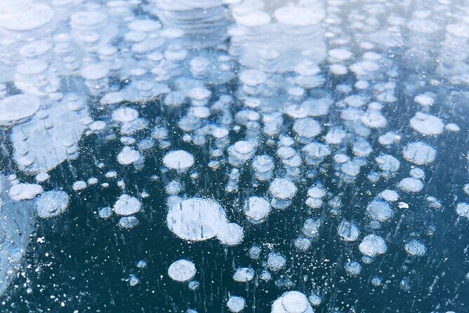 Lake Nukabira Smelt Fishing Private Tour - Final Thoughts