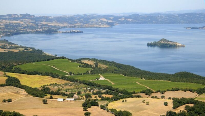 Lake of Bolsena: Private Cellar Tour and Wine Tasting - The Experience in Detail