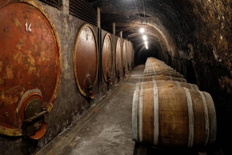 Lake of Bolsena: Private Cellar Tour and Wine Tasting - Who Should Consider This Tour?