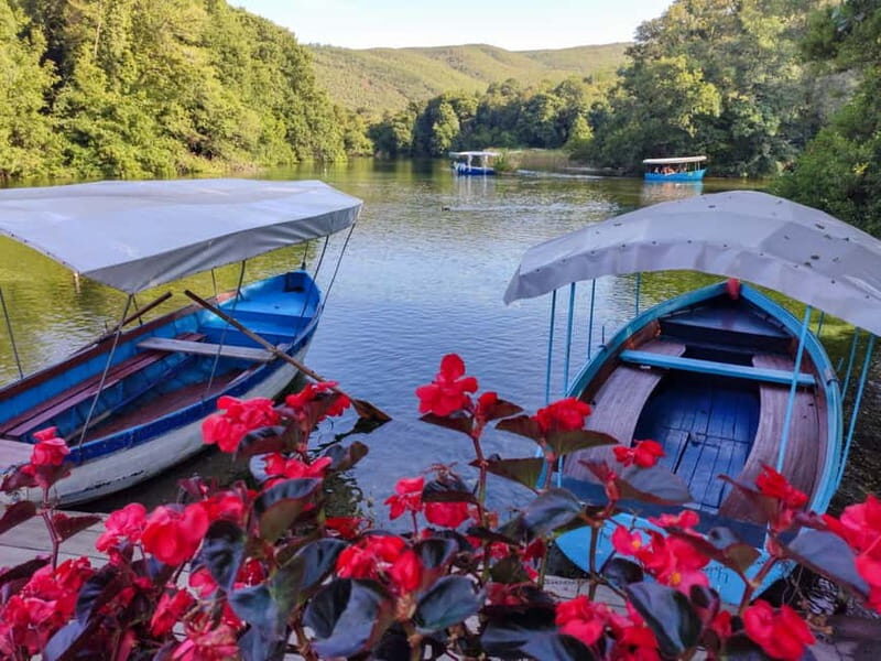 "Lake Ohrid: Monastery, Museum, and City Private Car Tour" - Authentic Insights & Traveler Tips