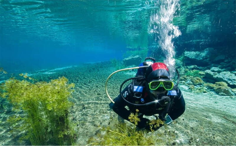 Lake Ohrid: Try Diving at the Bay of the Bones - Why This Tour Stands Out
