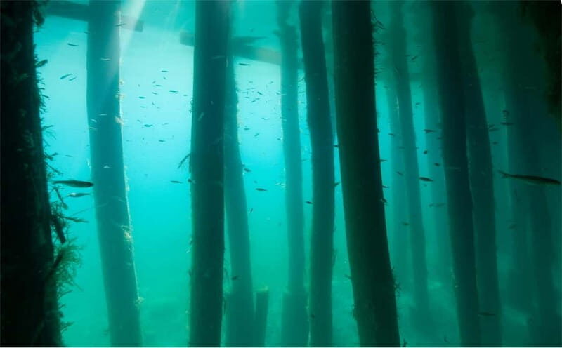 Lake Ohrid: Try Diving at the Bay of the Bones - Who Will Love This Experience?