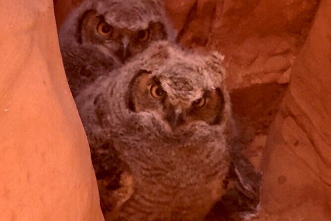 Lake Powell Kayak and Water Antelope Canyon Hike Guided Tour - Who This Tour Is Best For