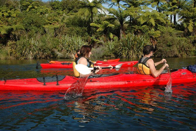 Lake Rotoiti Evening Kayak Tour including Hot Springs, Glowworm Caves and BBQ Dinner - The Authentic Experience: What Makes This Tour Stand Out