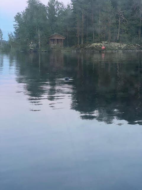 Lake Saimaa story cruise by Ecoboat in Puumala - Exploring Lake Saimaa with Ecoboat in Puumala: A Natural and Cultural Gem