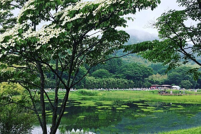 Lake Shidaka and Lake Kagurame Nordic Walking Tour - Visiting Honoohonome Shrine and Cultural Insights