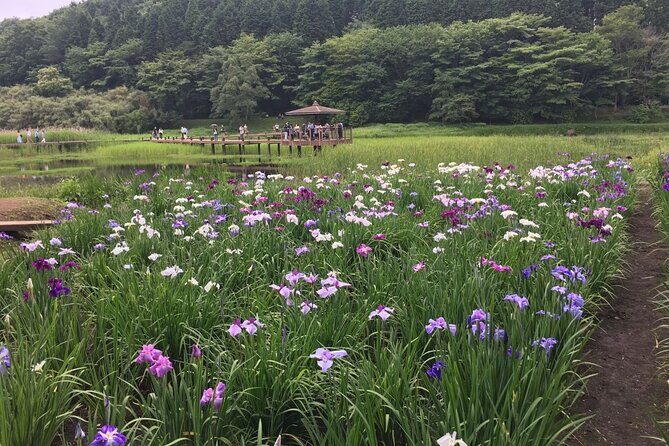 Lake Shidaka and Lake Kagurame Nordic Walking Tour - Who Should Consider This Tour?