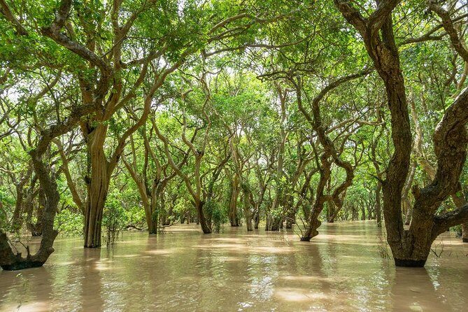 Lake-Side Village Tour - The Floating Café: A Relaxing Stop