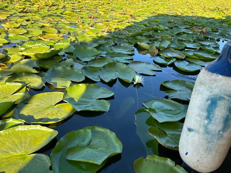 Lake Skadar: Boat Cruise - What’s Included and What to Keep in Mind