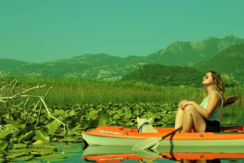 Lake Skadar: from Budva, Kotor, Tivat - Why It’s Worth It