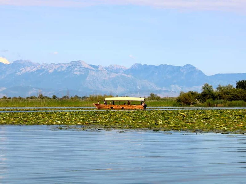 Lake Skadar: Guided Sightseeing Boat Tour with Drinks - An In-Depth Look at Lake Skadar’s Guided Boat Tour
