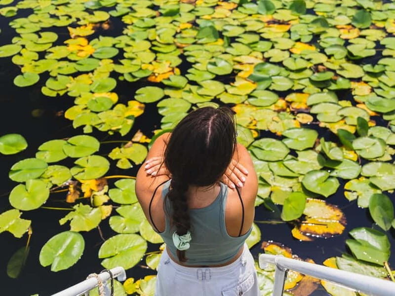 Lake Skadar: Visit the Montenegrin Venice - Key Points