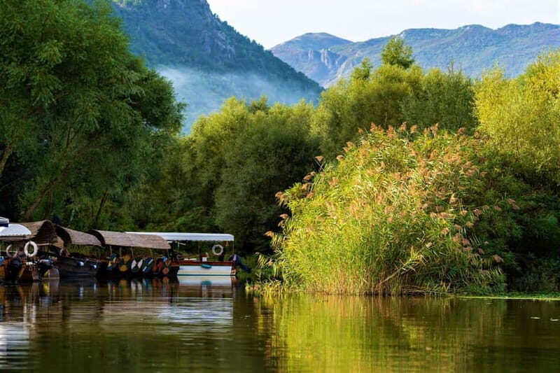 Lake Skadar: Visit the Montenegrin Venice - Discovering Lesendro Fortress: A Glimpse into the Past