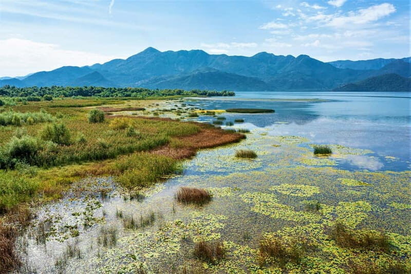 Lake Skadar: Visit the Montenegrin Venice - The Main Event: Lake Skadar Swimming and Relaxation
