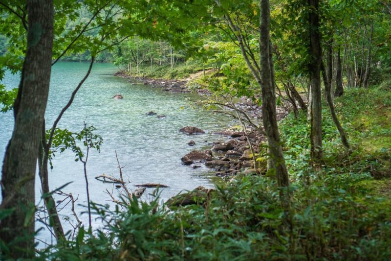 Lake Tachibana: Hike to a hidden lake! - The Value of the Experience