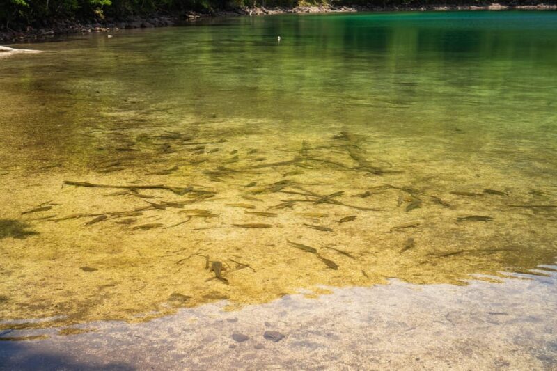 Lake Tachibana: Hike to a hidden lake! - Final Thoughts: Who Will Love This Tour?