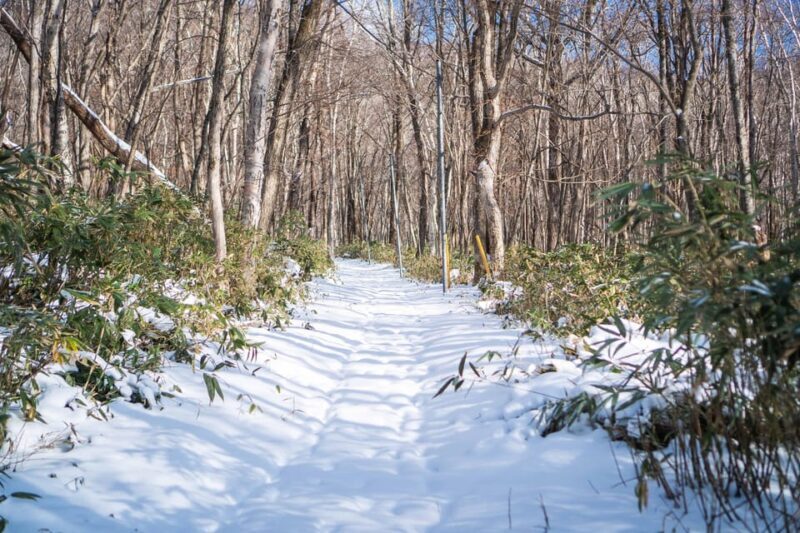 Lake Tachibana: Snowshoe to a frozen lake! - Pricing and Value Analysis