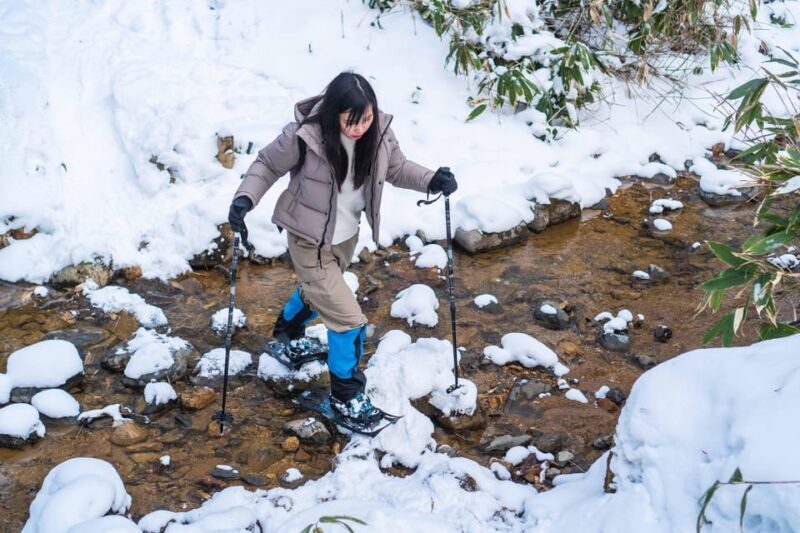 Lake Tachibana: Snowshoe to a frozen lake! - Visualizing the Experience