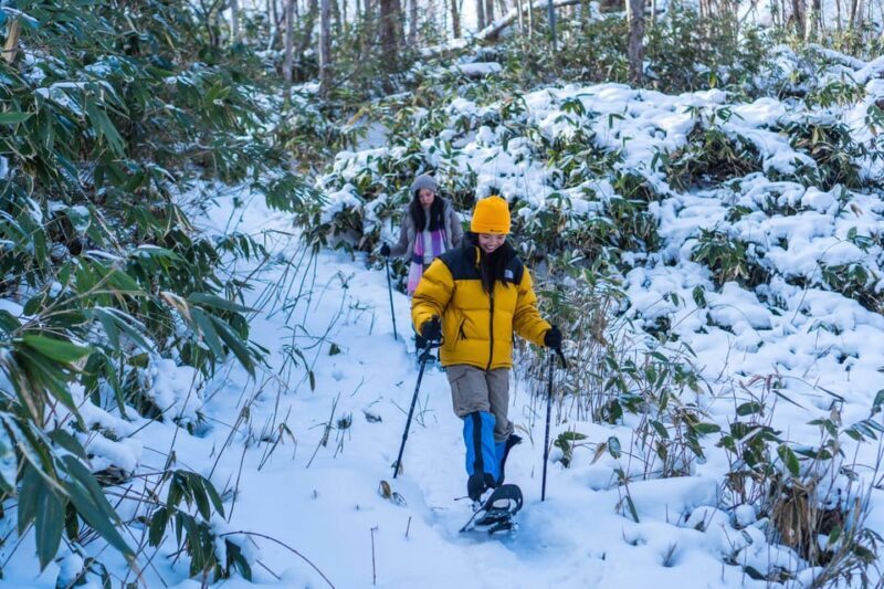 Lake Tachibana: Snowshoe to a frozen lake! - Who Will Love This Tour?