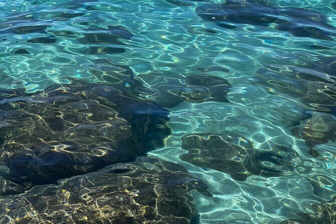 Lake Tahoe Clear Kayak Adventure at Sand Harbor - Frequently Asked Questions