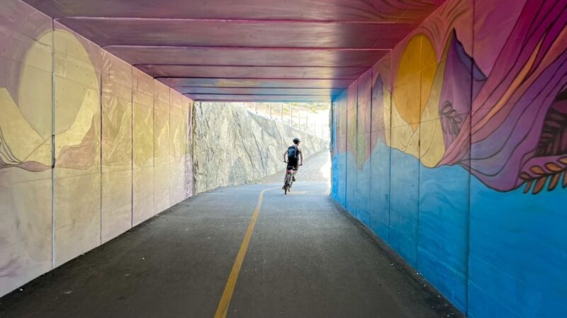 Lake Tahoe: Electric Bike Rental - The Allure of Lake Tahoe’s North Shore by Electric Bike
