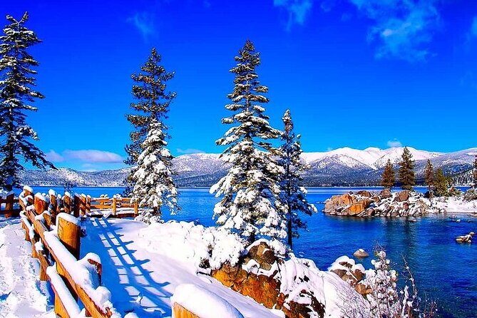 Lake Tahoe Full day Private Tour from Cupertino - An In-Depth Look at the Lake Tahoe Private Tour