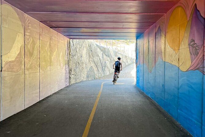 Lake Tahoe: Full Day Self-Guided Bike Tour - The Real User Perspectives