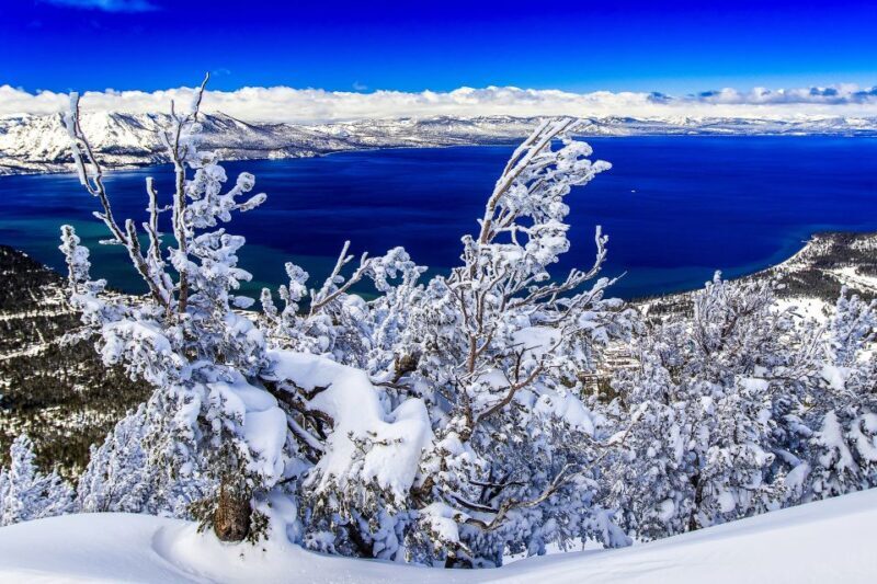 Lake Tahoe: Half-Day Photographic Scenic Tour - Lake Tahoe: Half-Day Photographic Scenic Tour — An In-Depth Review