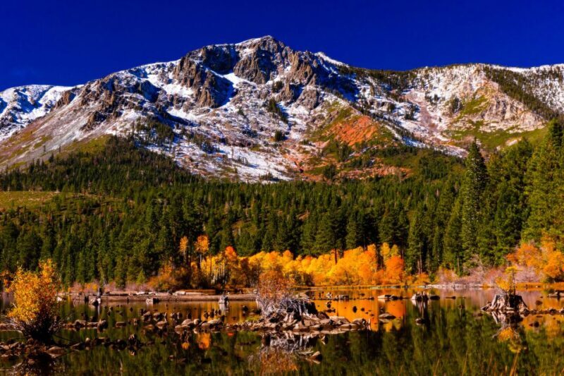 Lake Tahoe: Half-Day Photographic Scenic Tour - Transportation, Group Size, and Price