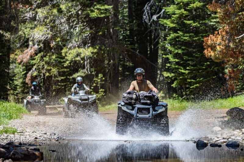 Lake Tahoe: Rubicon Trail Guided Off Road ATV Tour - Exploring the Rubicon Trail