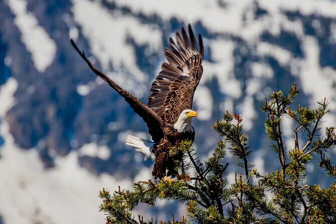Lake Tahoe Small-Group Photography Scenic Half-Day Tour - Practical Details and What to Expect