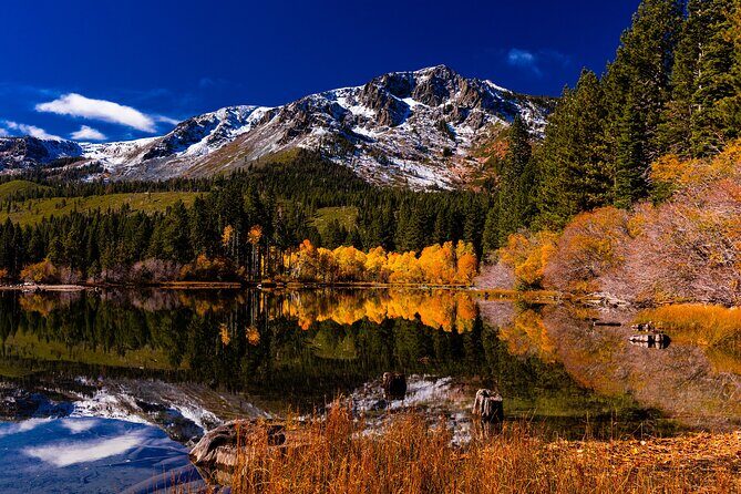 Lake Tahoe Small-Group Photography Scenic Half-Day Tour - Why This Tour Is a Good Deal