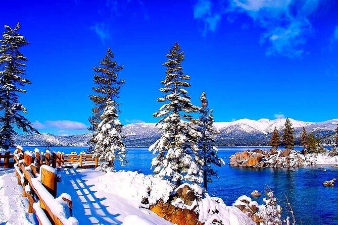 Lake Tahoe Small Group Tour from San Francisco - Return Journey and Drop-off