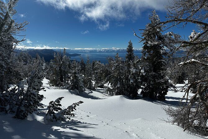 Lake Tahoe Snowshoe Rental Packages - An Overview of the Snowshoe Experience in Lake Tahoe