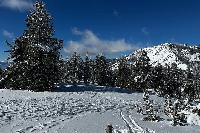 Lake Tahoe Snowshoe Rental Packages - The Experience at Chickadee Ridge and Other Trails