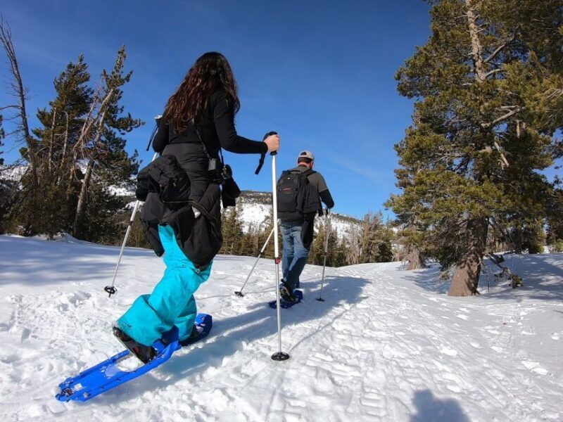 Lake Tahoe: Snowshoeing Guided Tour - Value and Practicalities
