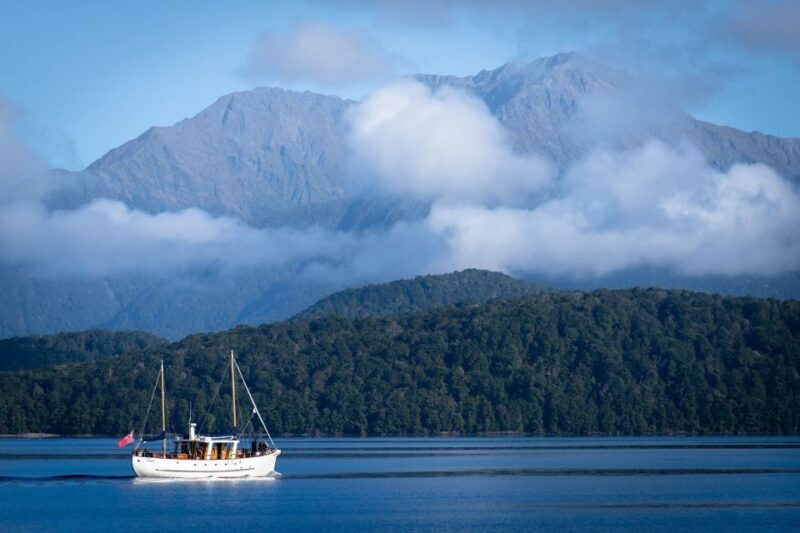 Lake Te Anau: 3-Hour Boat Cruise with Guided Walk - The Sum Up
