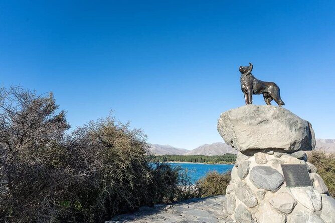 Lake Tekapo and Aoraki Mount Cook - FAQ