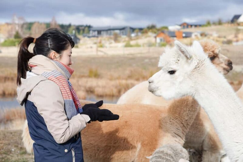 Lake Tekapo: Guided Petting Zoo Visit - Who Will Enjoy This Experience?