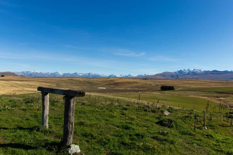 Lake Tekapo High Country Farm Tour (Carbon Positive) - Final Thoughts: Is It Worth It?