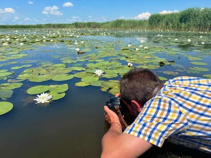 Lake Tisza: Boat trip in the Bird Paradise - An Introduction to Lake Tisza’s Natural Wonder