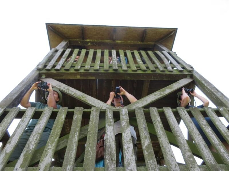 Lake Tisza: Boat trip in the Bird Paradise - What’s Included & What You Should Bring