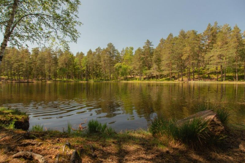 Lake walk and campfire - Practical Details and What to Expect