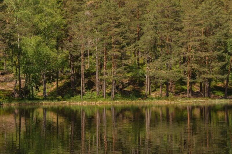 Lake walk and campfire - Who Will Love This Tour?