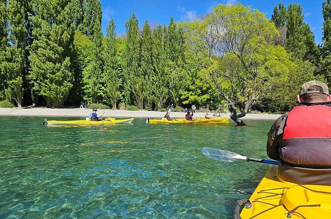 Lake Wanaka Roy's Bay Kayak Tour - Who Will Love This Experience?