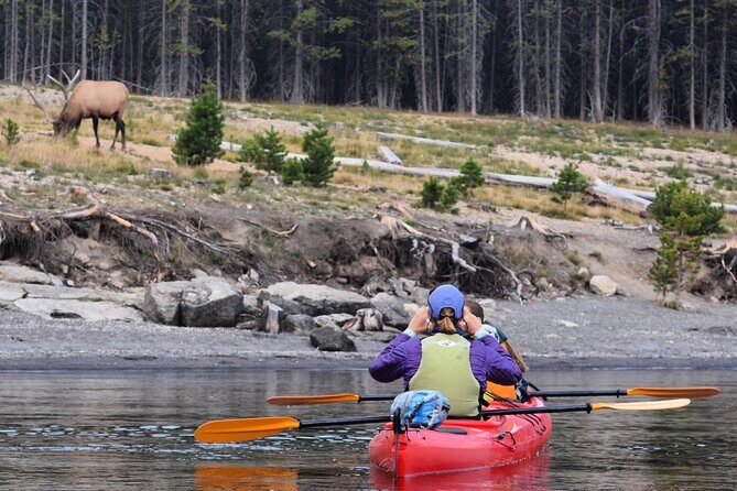 Lake Yellowstone Half Day Kayak Tours Past Geothermal Features - Price and Value: A Closer Look