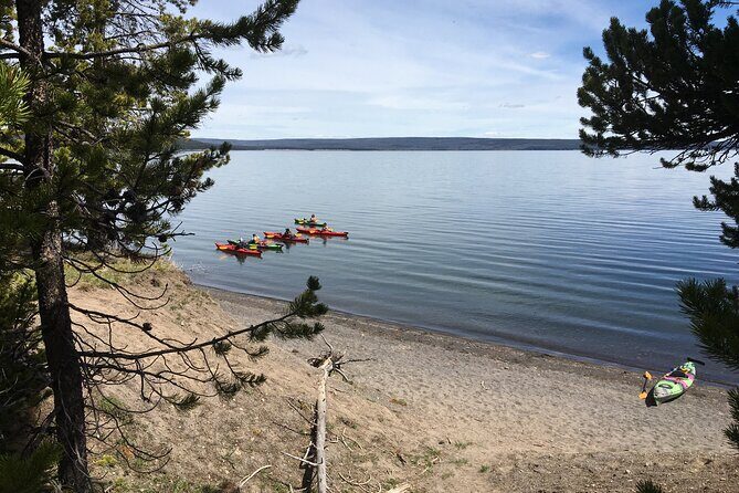 Lake Yellowstone Half Day Kayak Tours Past Geothermal Features - Practical Tips for Future Kayakers