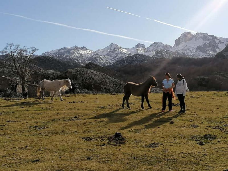 Lakes of Covadonga and Sanctuary of Covadonga: Guided and interpreted tour - Who Will Love This Tour?