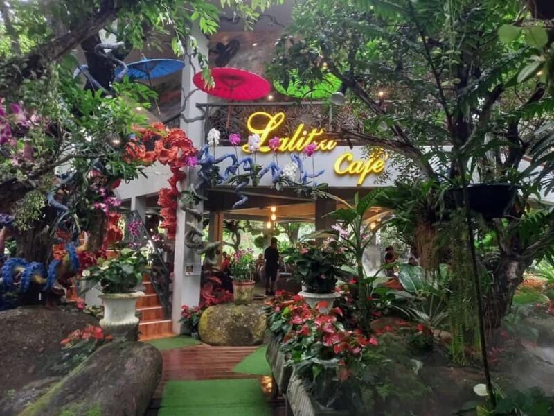 Lalita Cafe & Chiang Rai Temple(White+Blue) from Chiangmai - The Sum Up