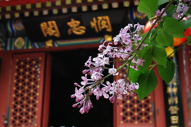 Lama Temple, Hutong ,and Forbidden City ,Jingshan Park Private Driver Service - The Sum Up
